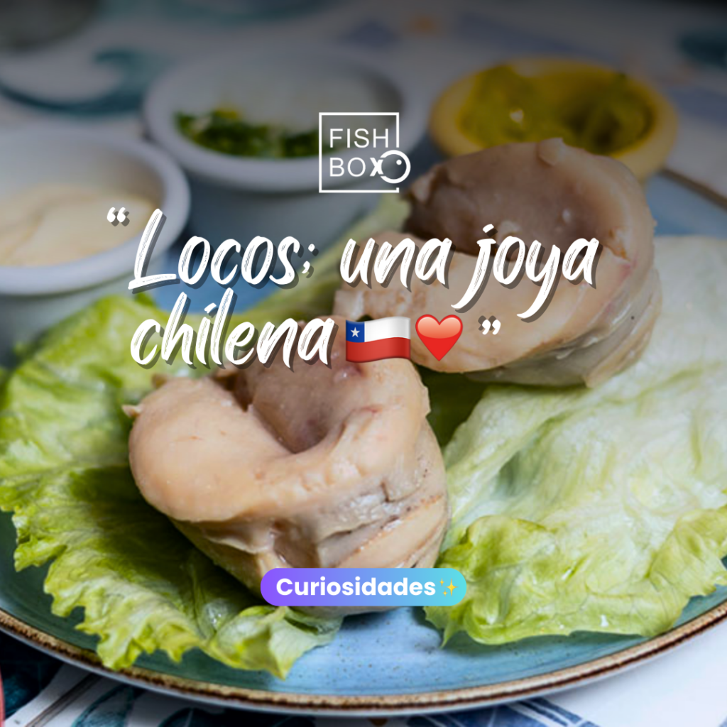 Locos: Una joya gastronómica chilena. - Fishbox Chile